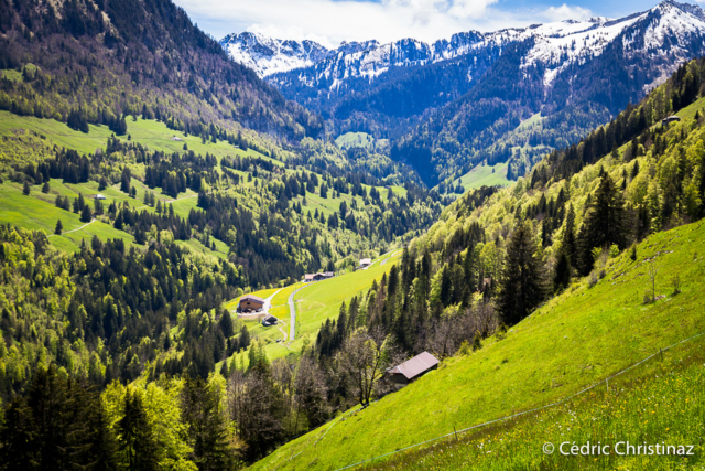 D’Allières à Montbovon par les Sciernes – Nos balades en famille